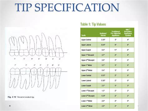 Mbt Technique Part PPTX Dental Health Diseases And Conditions