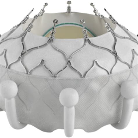 Tendyne Prosthesis Abbott Vascular Download Scientific Diagram