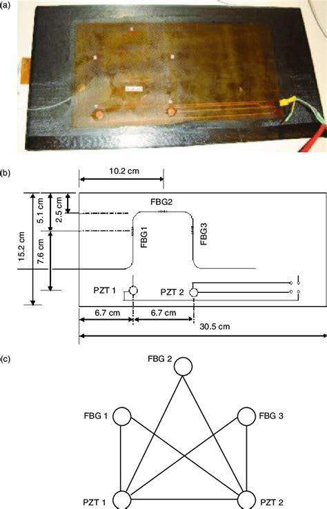 Composite Specimen With The Hybrid Pztfbg Sensor Network A Picture