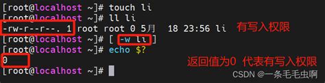 Shell编程之条件判断语句 Csdn博客