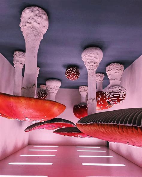 Hashtag Carstenhöller στο Instagram • Φωτογραφίες και βίντεο