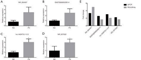 Confirmation Of The Selected Long Non Coding Rnas Lncrnas Through
