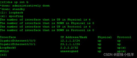 bgp实验配置 bgp 配置实验 csdn博客