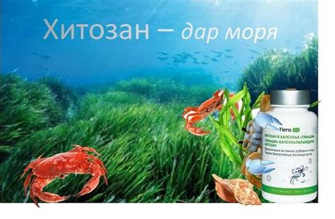 Хитозан "Тяньши"- волшебные капсулы для здоровья