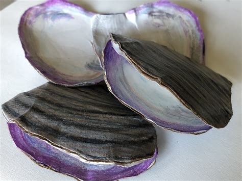 The Clam — Cce Marine Digital Education