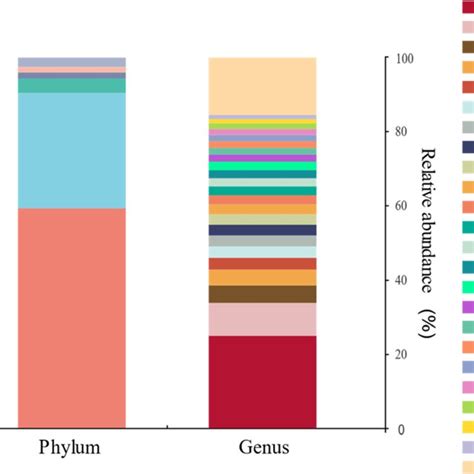 Gut Microbiota Composition At The Level Of Phylum And Genus Download