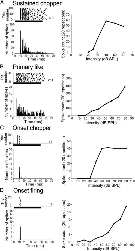 Inll Neurons Respond To Bf Tone Bursts With 1 Of 4 Temporal Discharge