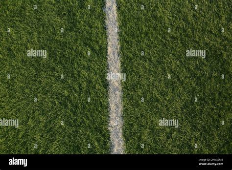 Field Of Fresh Green Grass Texture As A Background Top Close Up View