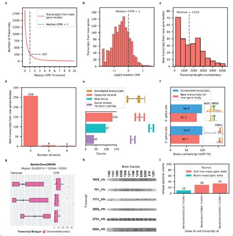 New High Confidence Gene Bodies In Human Frontal Cortex Tissue A