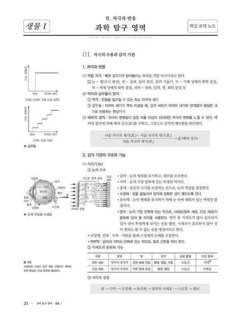생물 핵심 개념 정리 자극과 반응적합 자극 역치와 실무율의 법칙 베버의 법칙 감각 기관의 구조와 기능