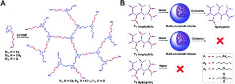 A Synthetic Routes Of The Selenium Containing Hyperbranched Polymers Download Scientific