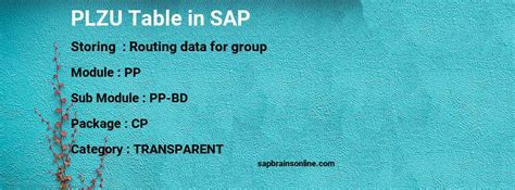 Plzu Sap Table For Routing Data For Group