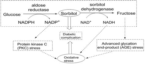 Polyol Pathway Of Glucose Metabolism And Pathogenesis Of Diabetic