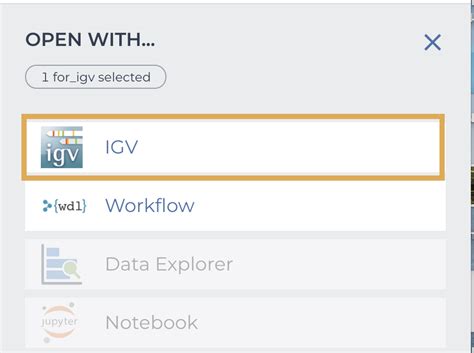 How To View Igv Tracks Of Bam And Vcf Files Terra Support