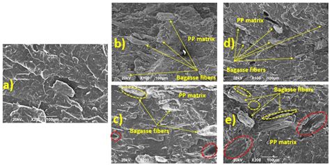 Sem Micrograph Of The Fracture Surface Of A Neat Pp B C Pp Bag