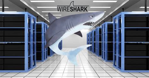 15 Best Wireshark Courses Online In 2023 OnlineCourseing