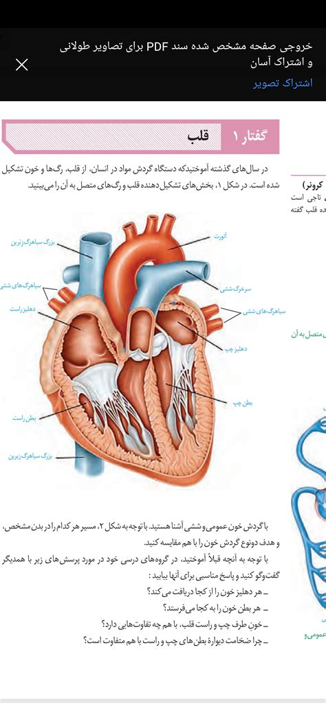 تدریس ساختار قلب زیست شناسی دهم تجربی کنکور آکادمی امروز