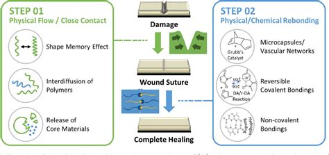Figure 1 From Self Healing Polymers For Surface Scratch Regeneration Semantic Scholar