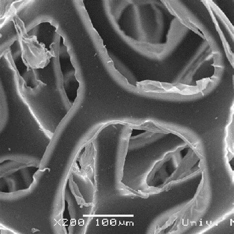 sem micrograph of pe fibres scale bar 100 m download scientific