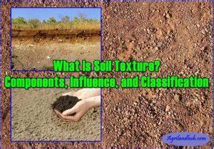 What Is Soil Texture Components Influence And Classification AgriLandHub Com
