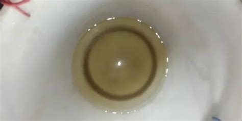 Formaldehyde 37 Formalin For Water Disinfectant Liquid At ₹ 20 Kg In Bengaluru