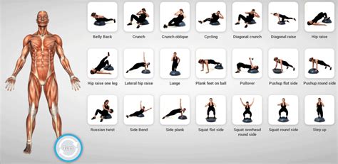 Entrenamiento De Core Mejor Específico 5 Principios ⚡