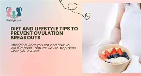 Acne During Ovulation Causes Symptoms And Natural Remedies