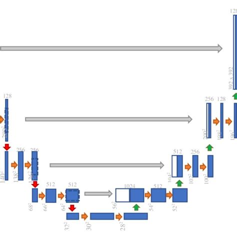 u net architecture a deep learning algorithm based upon fully