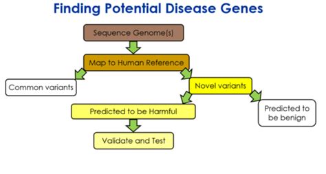 Cels 191 Module 3 Flashcards Quizlet
