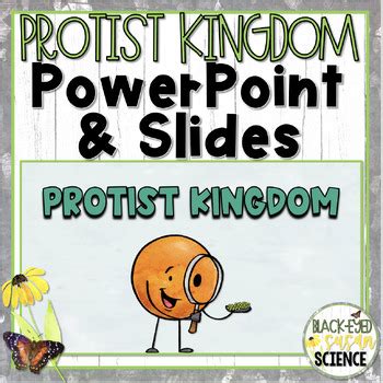 Protist Kingdom Doodle Notes POWERPOINT And SLIDES TPT