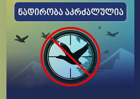 დღეიდან გადამფრენ ფრინველებზე ნადირობა იკრძალება 1tv