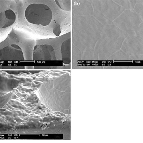Sem Micrographs Of The Ysz Foams 23 Ppi Sintered To 1600 °c A Foam
