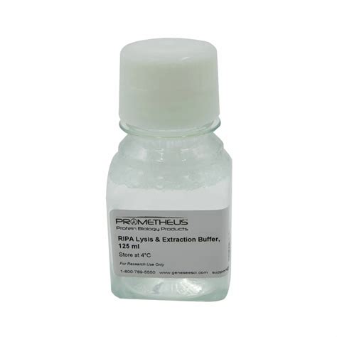 Ripa Cell Lysis Buffer 1x With Edta Gendepot 59 Off