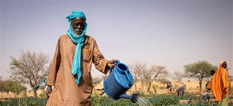 Concern Worldwide Uk Saxton Bampfylde Global Executive Search