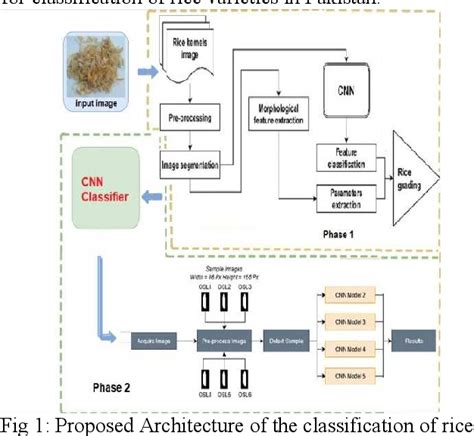 Figure From Classification Of Rice Varieties Using Convolution Neural Networks Semantic Scholar