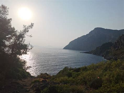 Заявление на отпуск образец 2025 как написать правильно по ТК РФ примеры заявлений