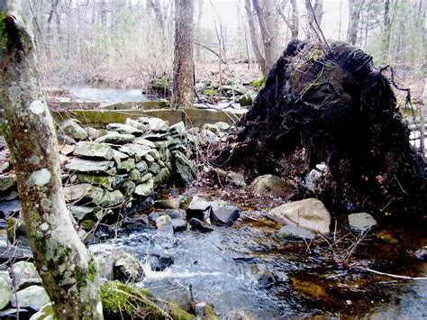 Carpenter Bridge By Gracegiveshigh5s On Deviantart