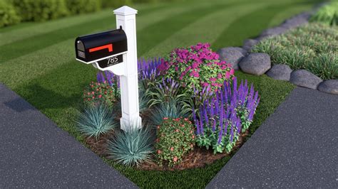 Tall Grasses For Landscaping Your Yard Plant By Number