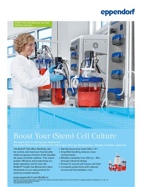 Pdf Shell Engineering In Soft Alginate Based Capsules For Culturing Liver Spheroids