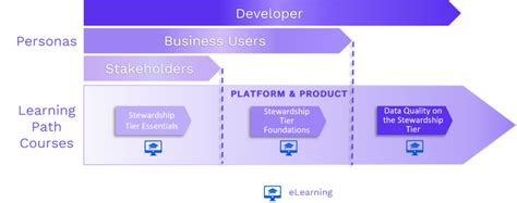 Data Quality Learning Path Syniti