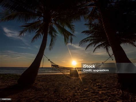 푸켓 비치 태국 일몰에 열대 해변에 해먹과 야자수의 실루엣 야자수에 해먹과 바다 바다 하늘 해안 모래 근처 일몰 눈부심 관광에