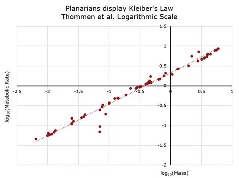 Introduction To Linearizing With Logarithms Physics Lab Manual
