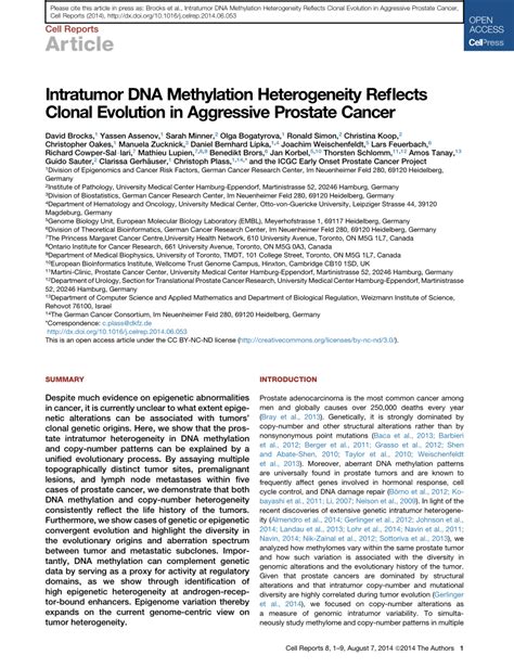 Pdf Intratumor Dna Methylation Heterogeneity Reflects Clonal