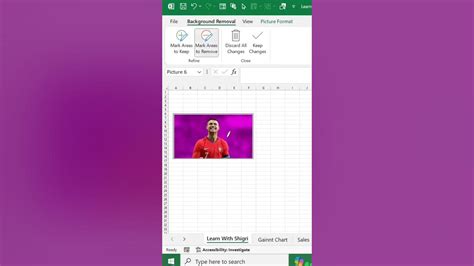 Remove Image Background In Ms Excel Exceltech Microsoftexcel