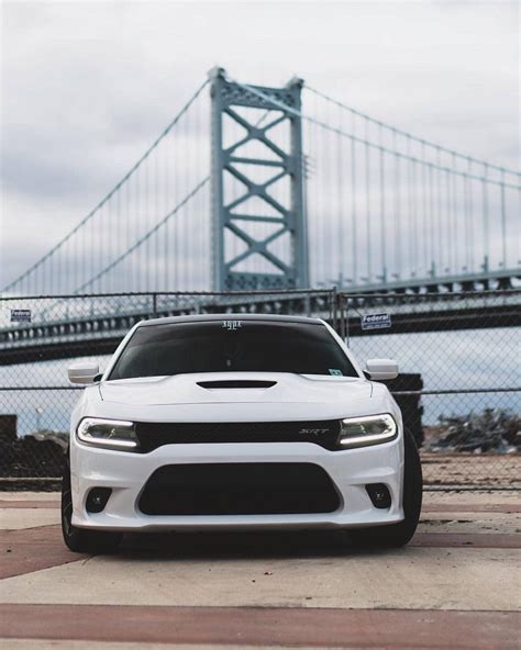 Brotherhoodofmuscle Blog On Tumblr