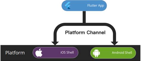 flutter analysis and practice native capability based plug in