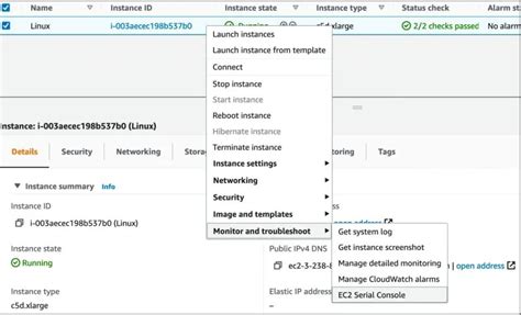 aws community troubleshoot my instance boot issue using ec2 serial