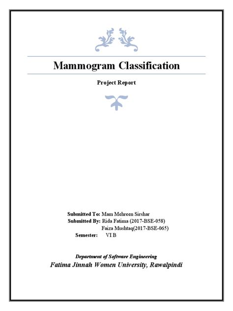 mammogram classification pdf mammography image segmentation