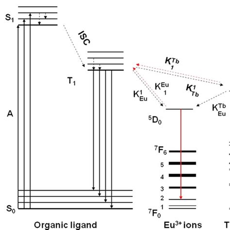 Scheme 1 Schematic Representation Of Energy Absorption Migration