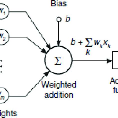 Neuron Signal Flow Model [6] Download Scientific Diagram